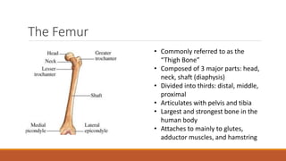 Femoral Shaft fracture | PPTX