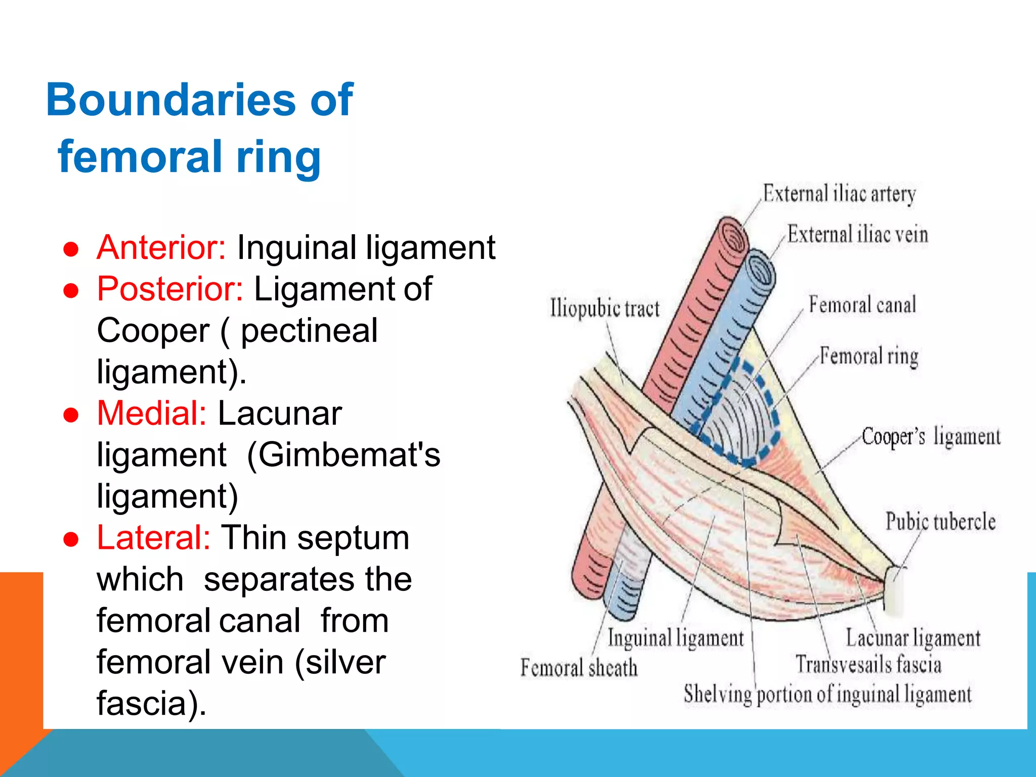 Femoral hernia | PPTX