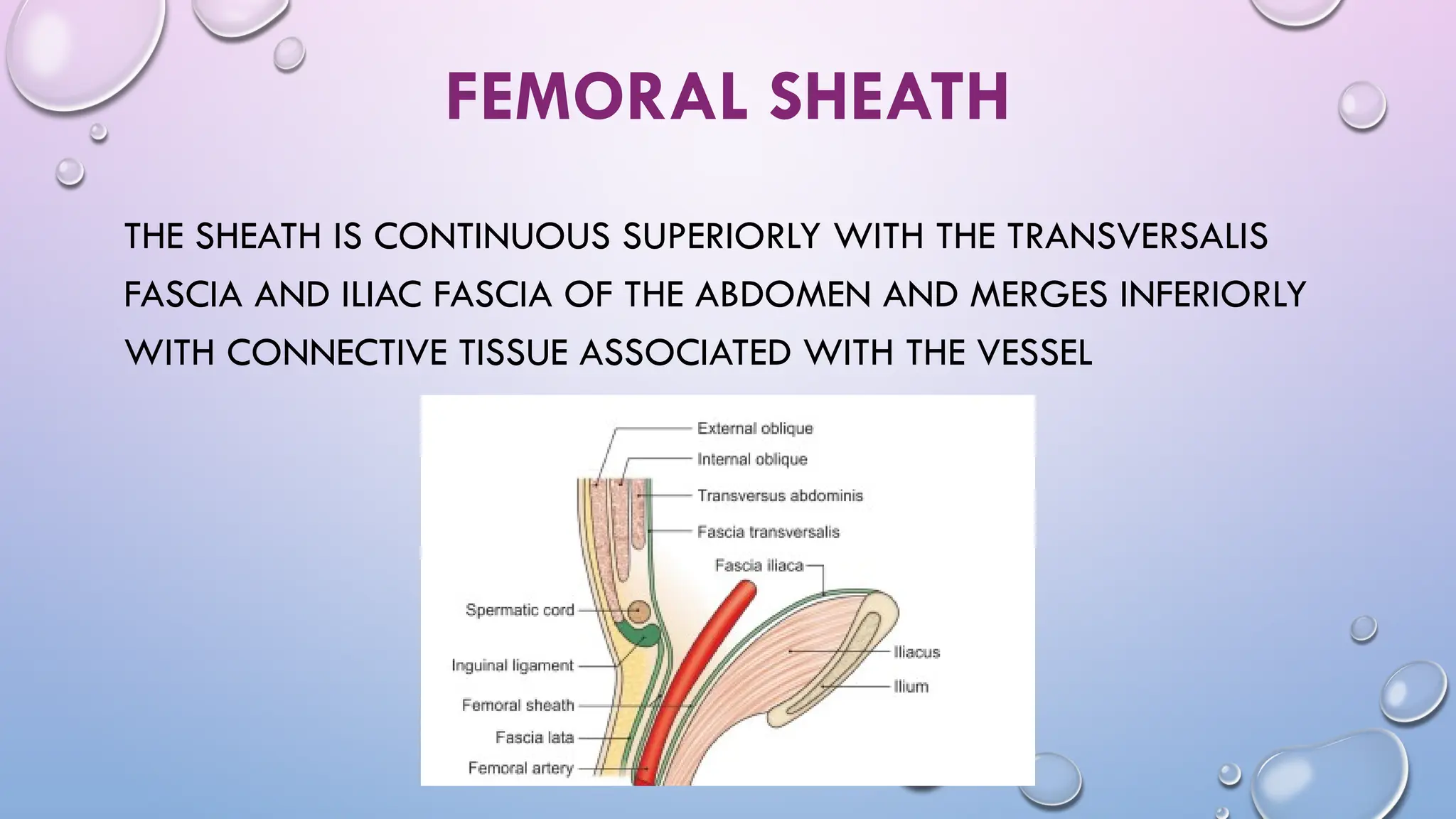 FEMORAL HERNIA BY Dr A . SAKTHI THANGAVEL.pptx
