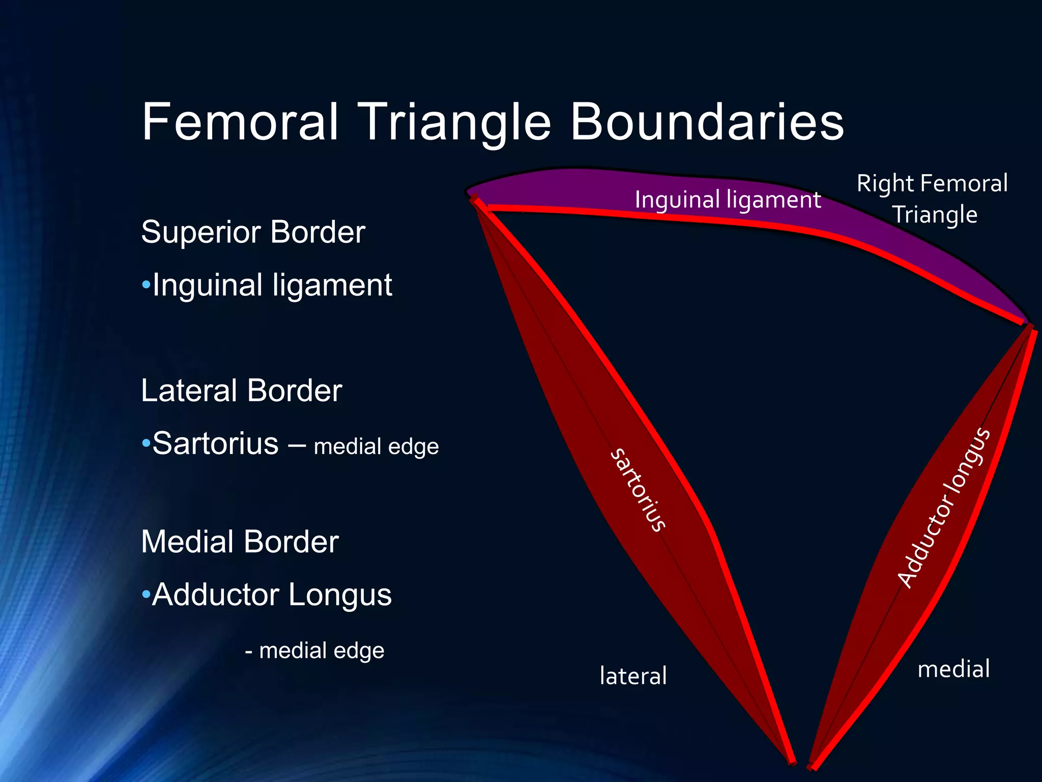 Femoral hernia presentation for cbl | PPTX | Death, Injury, or Military ...