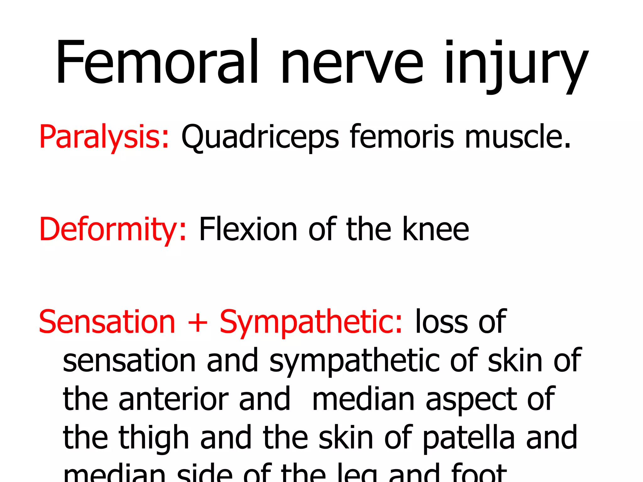 Femoral Nerve | PPTX