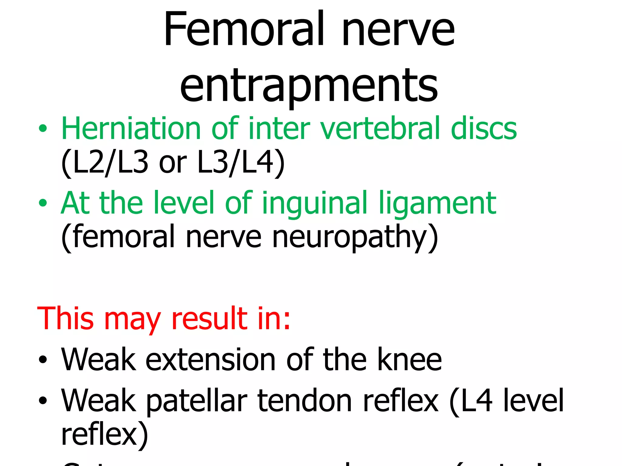 Femoral Nerve | PPTX
