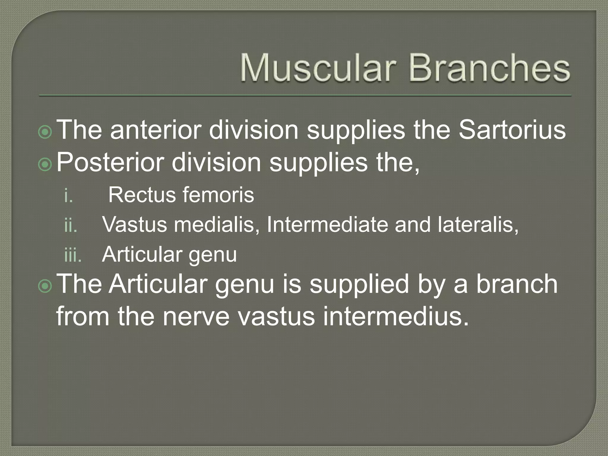 Anatomy of Femoral nerve | PPTX