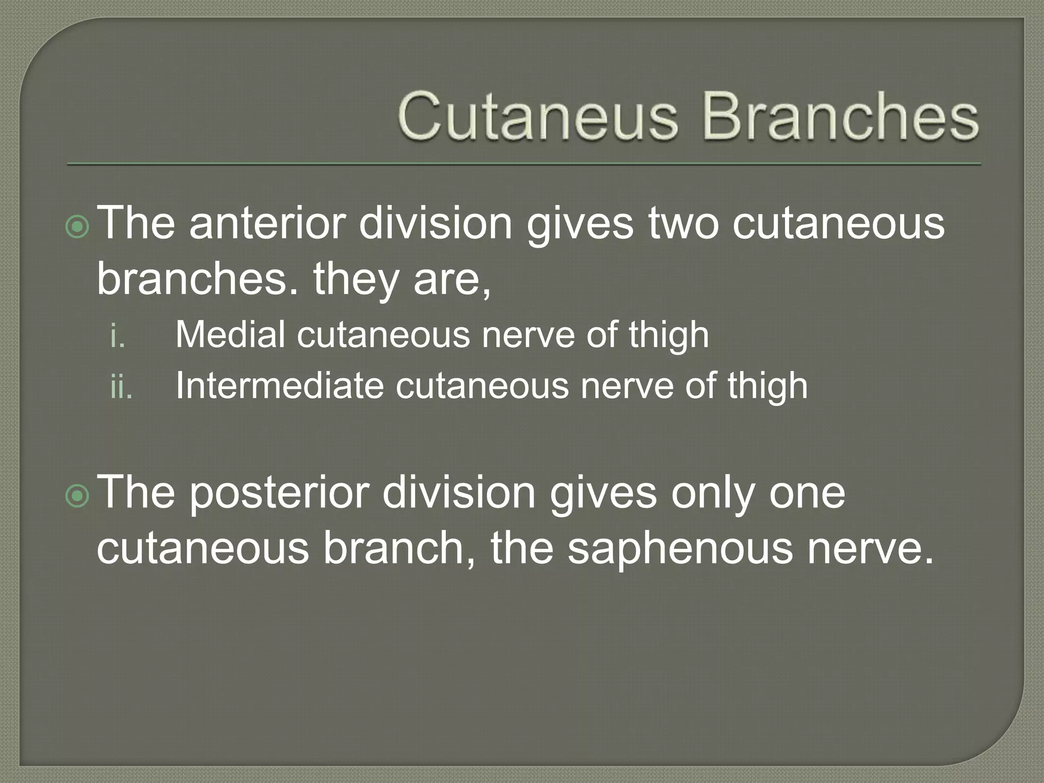 Anatomy of Femoral nerve | PPTX