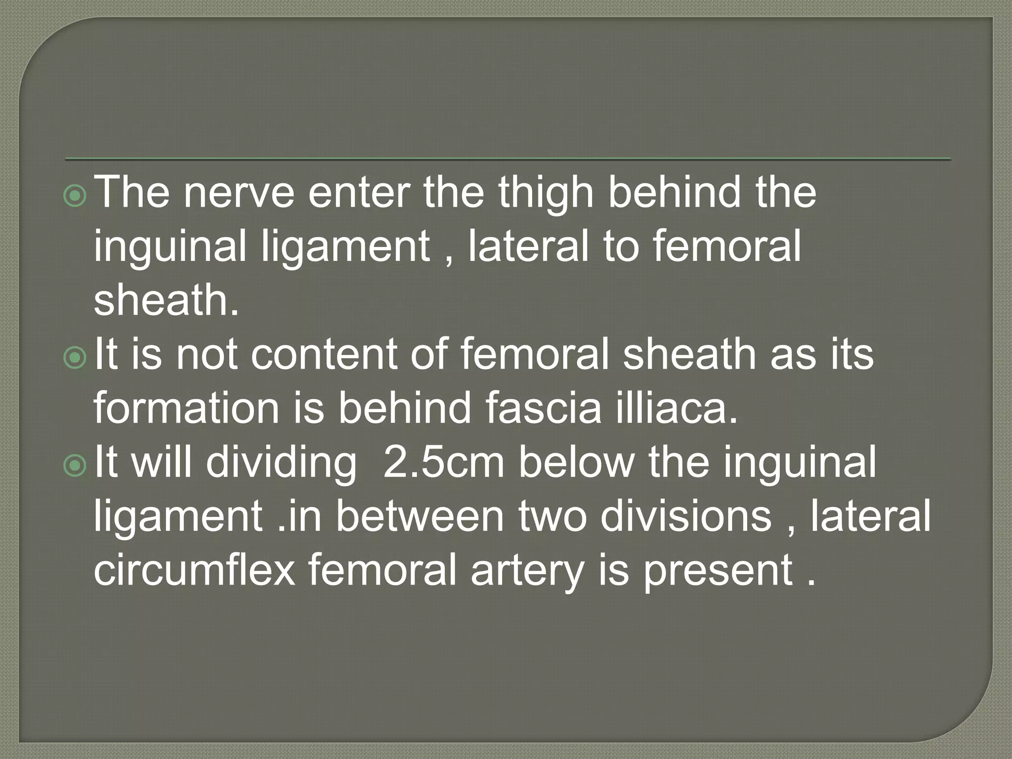 Anatomy of Femoral nerve | PPTX
