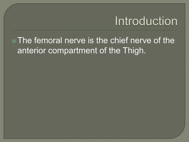 Anatomy of Femoral nerve | PPTX