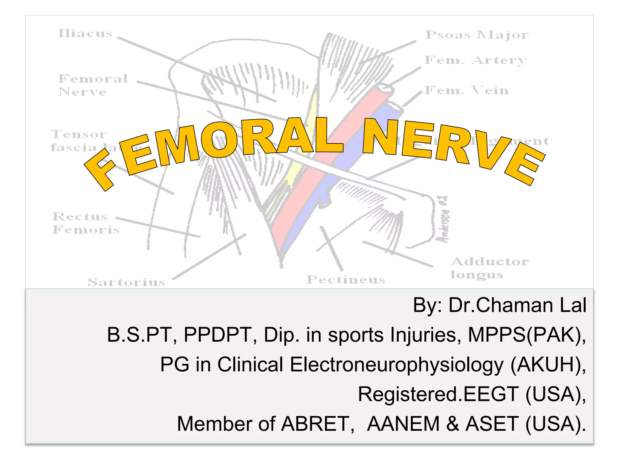 Femoral Nerve By Dr Chaman Lal (CK).ppt