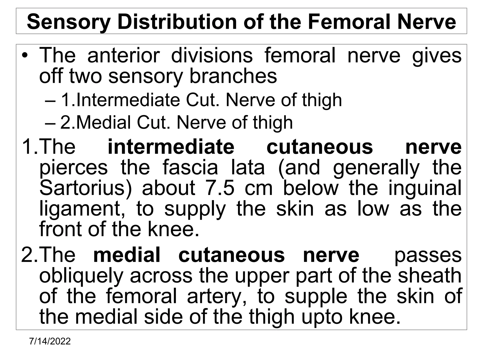 Femoral Nerve By Dr Chaman Lal (CK).ppt