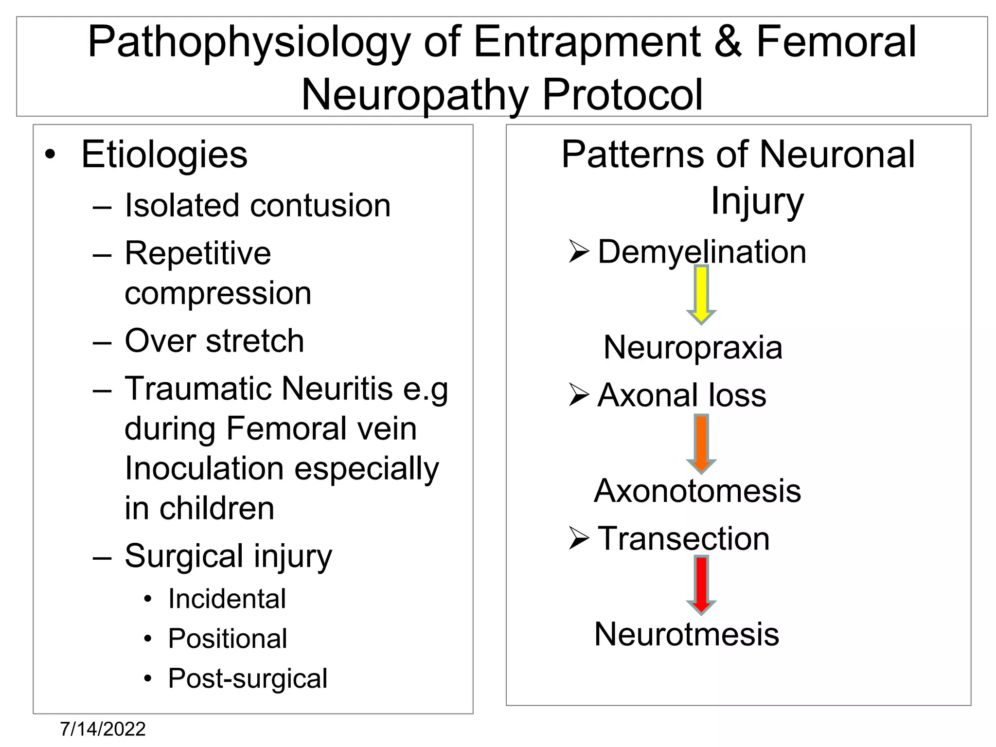 Femoral Nerve By Dr Chaman Lal (CK).ppt