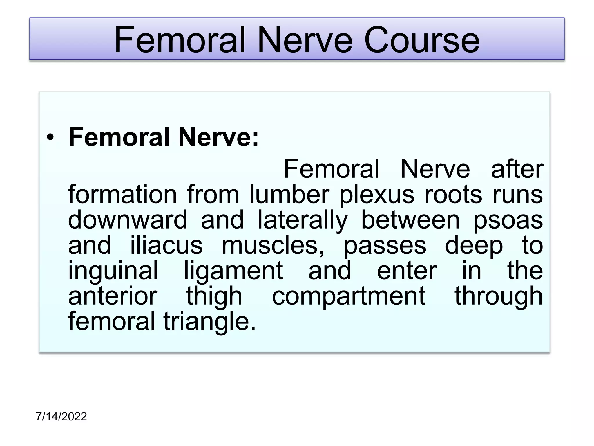 Femoral Nerve By Dr Chaman Lal (CK).ppt
