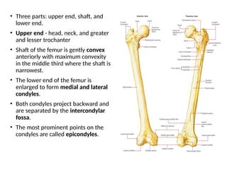 Femoral shaft fracture of the department orthopedics.pptx
