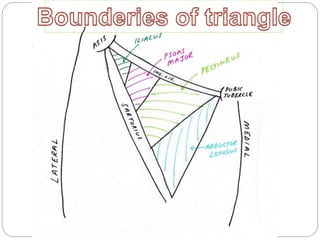 Femoral triangle | PPTX