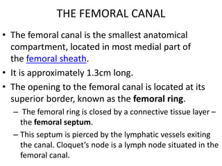 femoraltriangle-180421093722.pdf