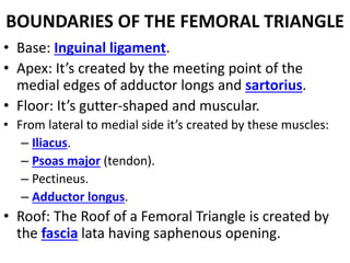 femoraltriangle-180421093722.pdf