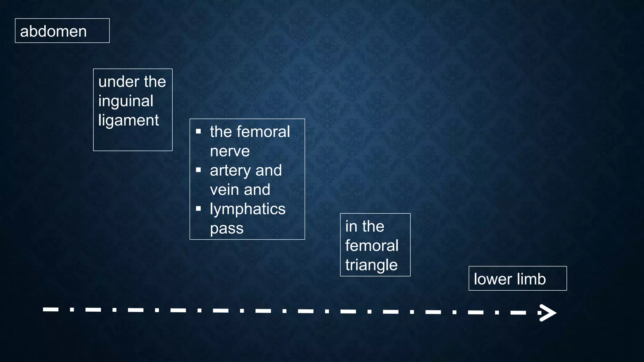 Femoral triangle | PPTX