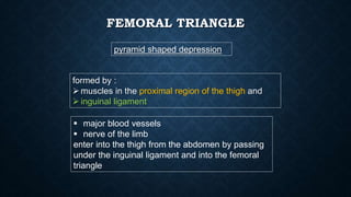 Femoral triangle | PPTX