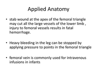 Femoral Triangle.pptx