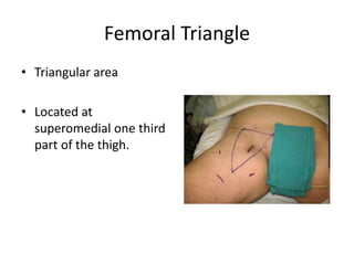 Femoral Triangle.pptx