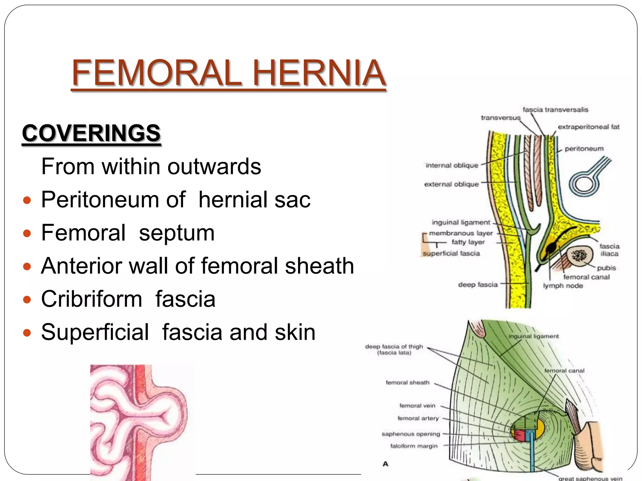 FEMORAL TRIANGLE.ppt