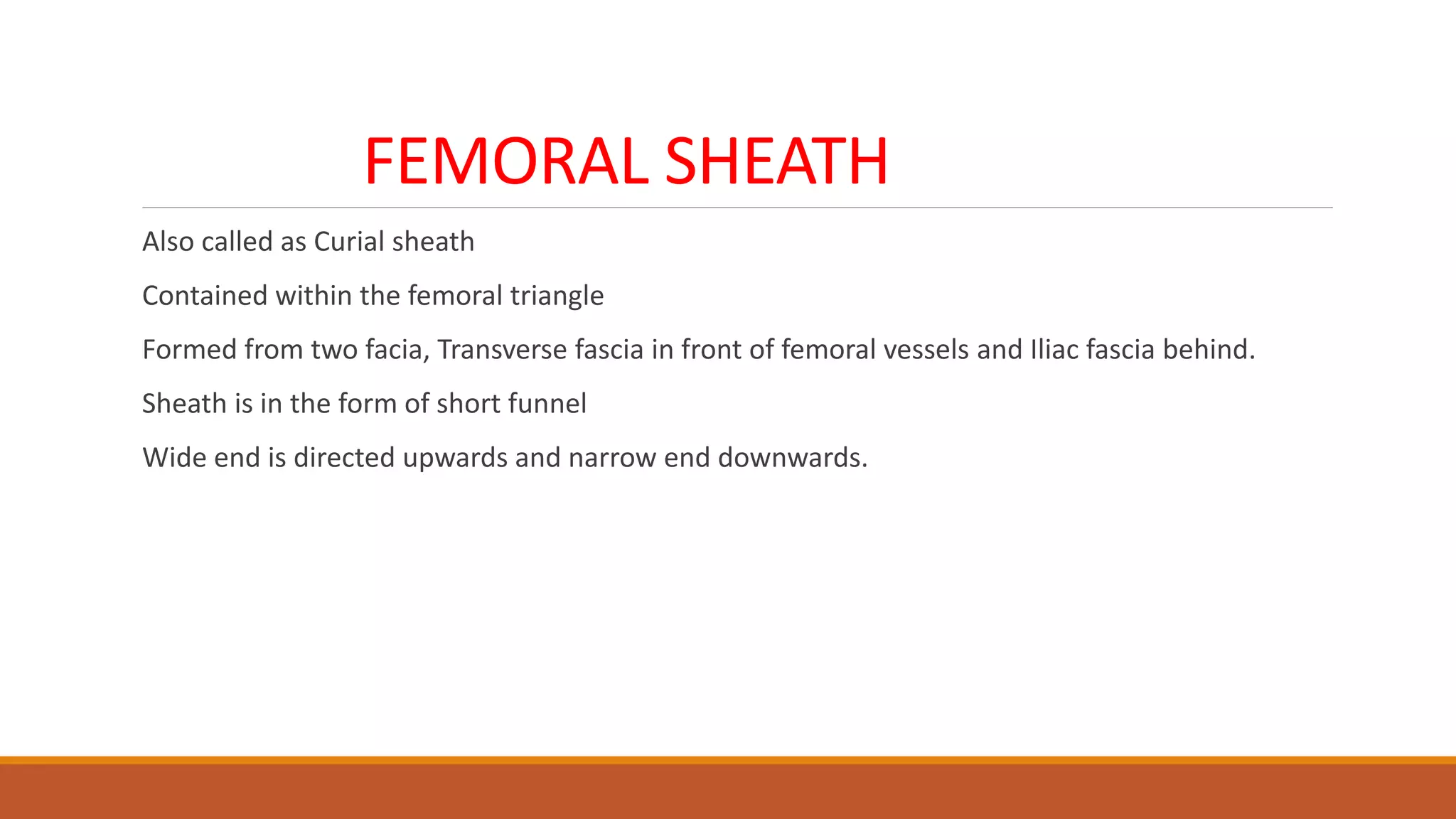 femoral triangle.pptx