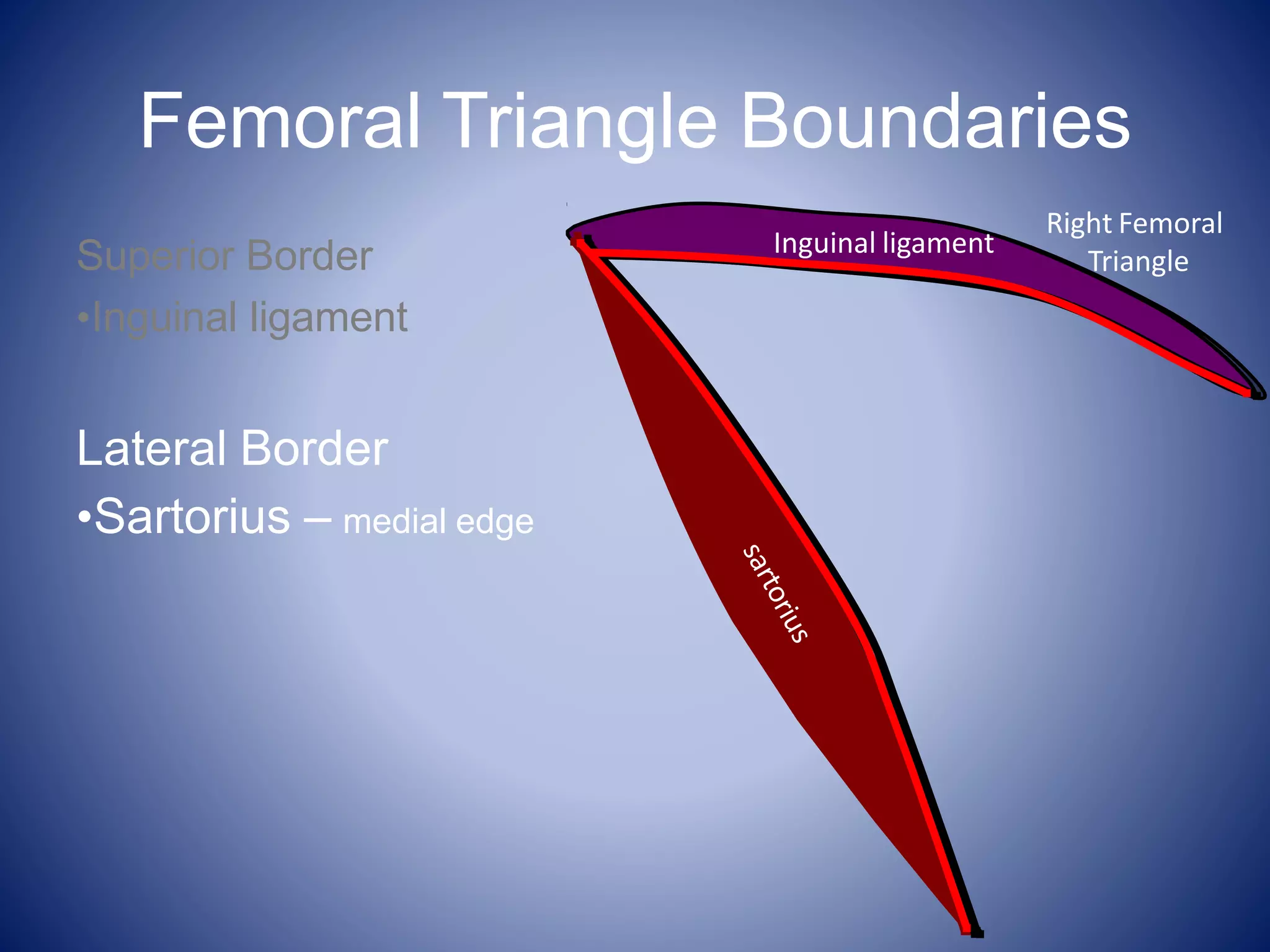 Femoral triangle | PPTX