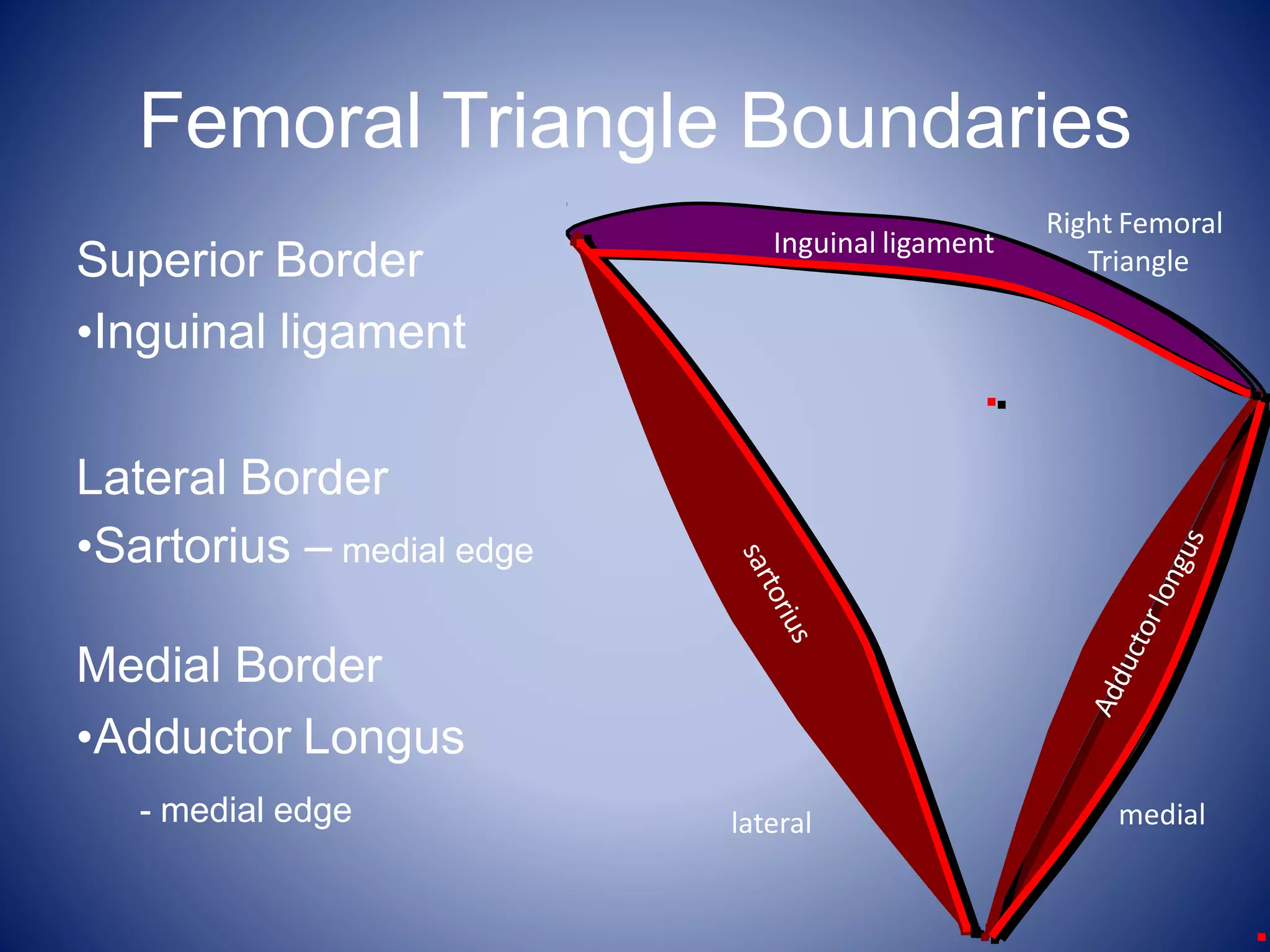 Femoral triangle | PPTX