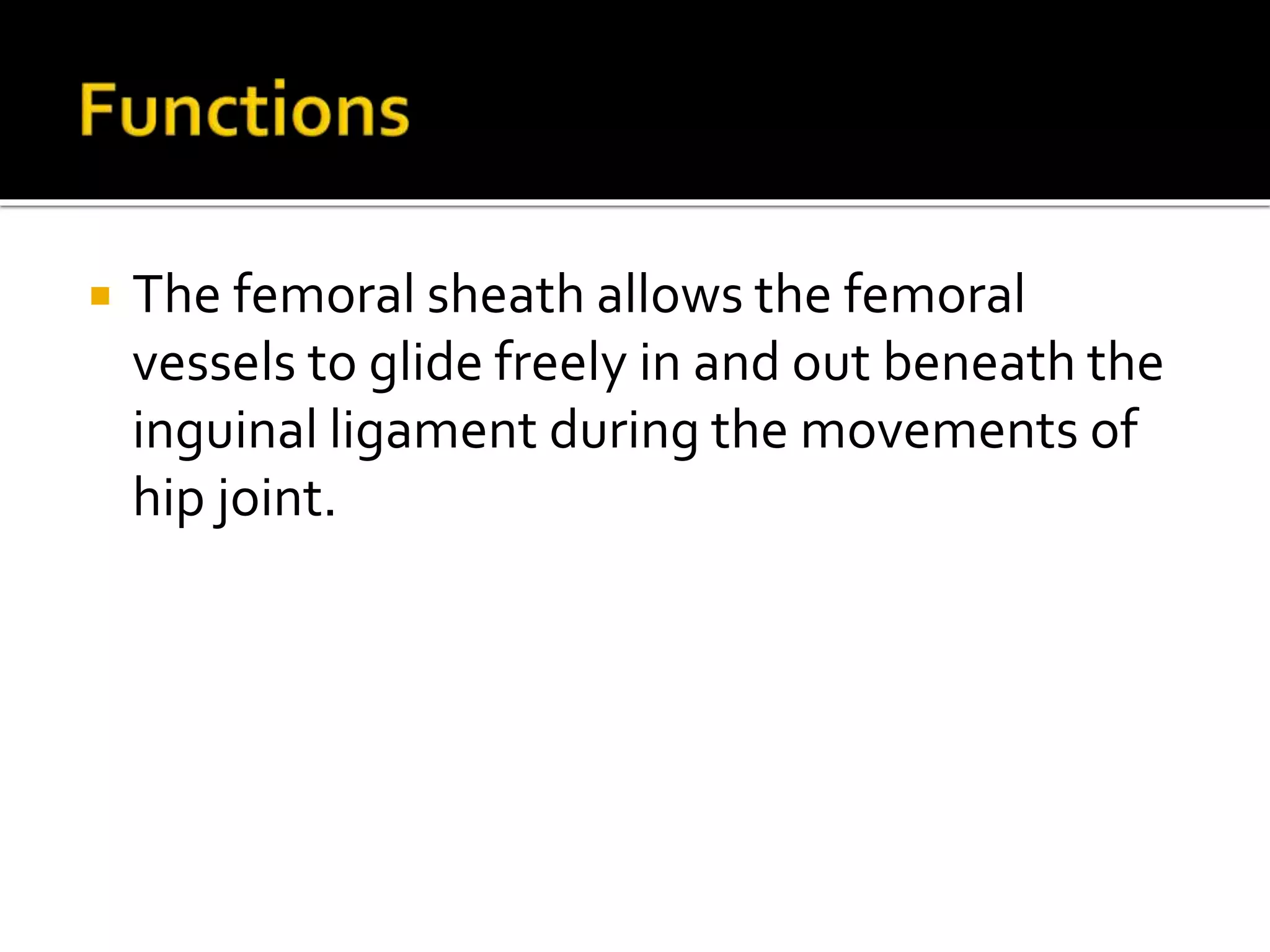 Femoral Triangle & Addutor canal.pptx
