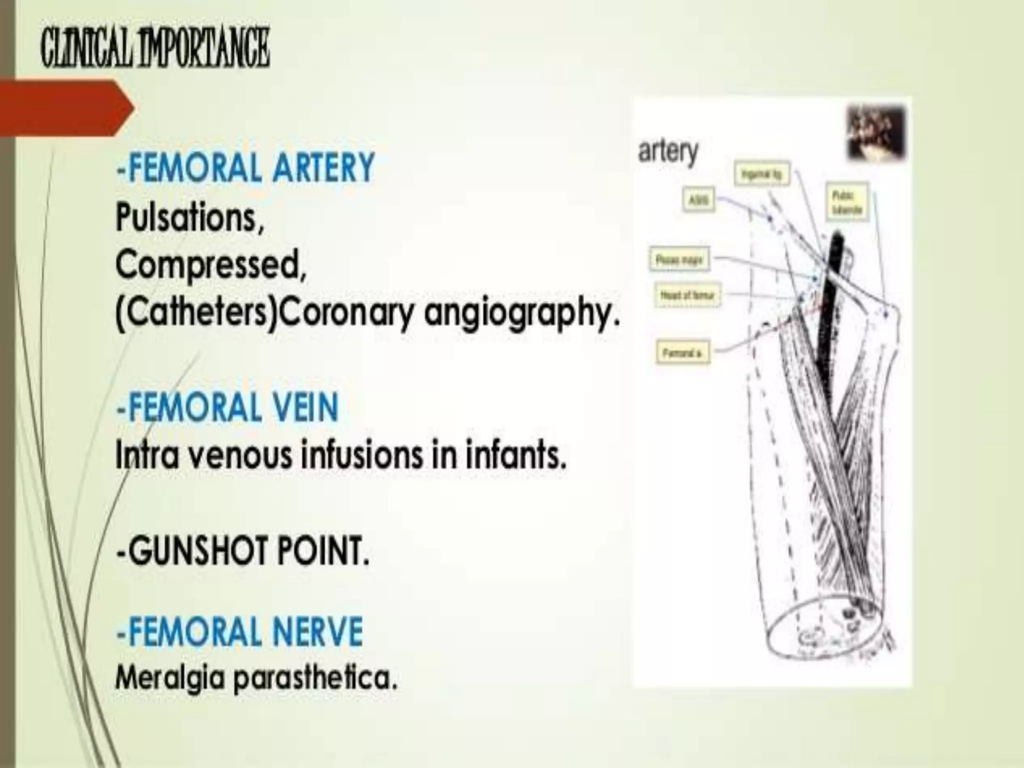 Femoral Triangle & Addutor canal.pptx