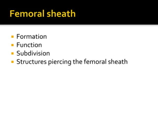 Femoral Triangle & Addutor canal.pptx