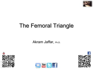 Femoral triangle and venous drainage in the lower limg | PPT