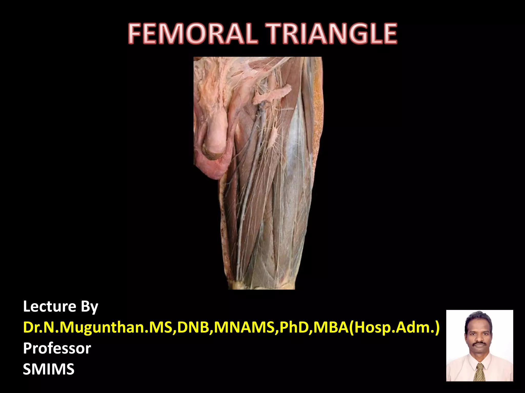 Femoral Triangle And Inguinal Lymph Nodes Drnmugunthan Ppt