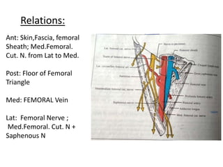 Femoral Vessels_RD.pptx