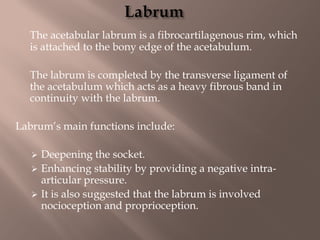 Femoroacetabular impingement | PDF