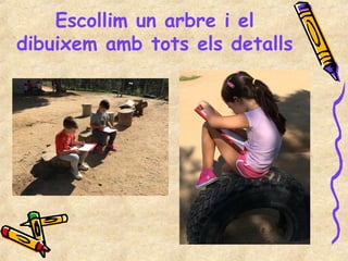 Fem plàstica a l’aire lliure | PPT