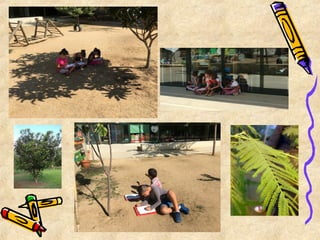 Fem plàstica a l’aire lliure | PPT