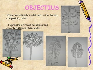 Fem plàstica a l’aire lliure | PPT