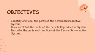 FEM REPRODUCTIVE SYSTEM.pptx