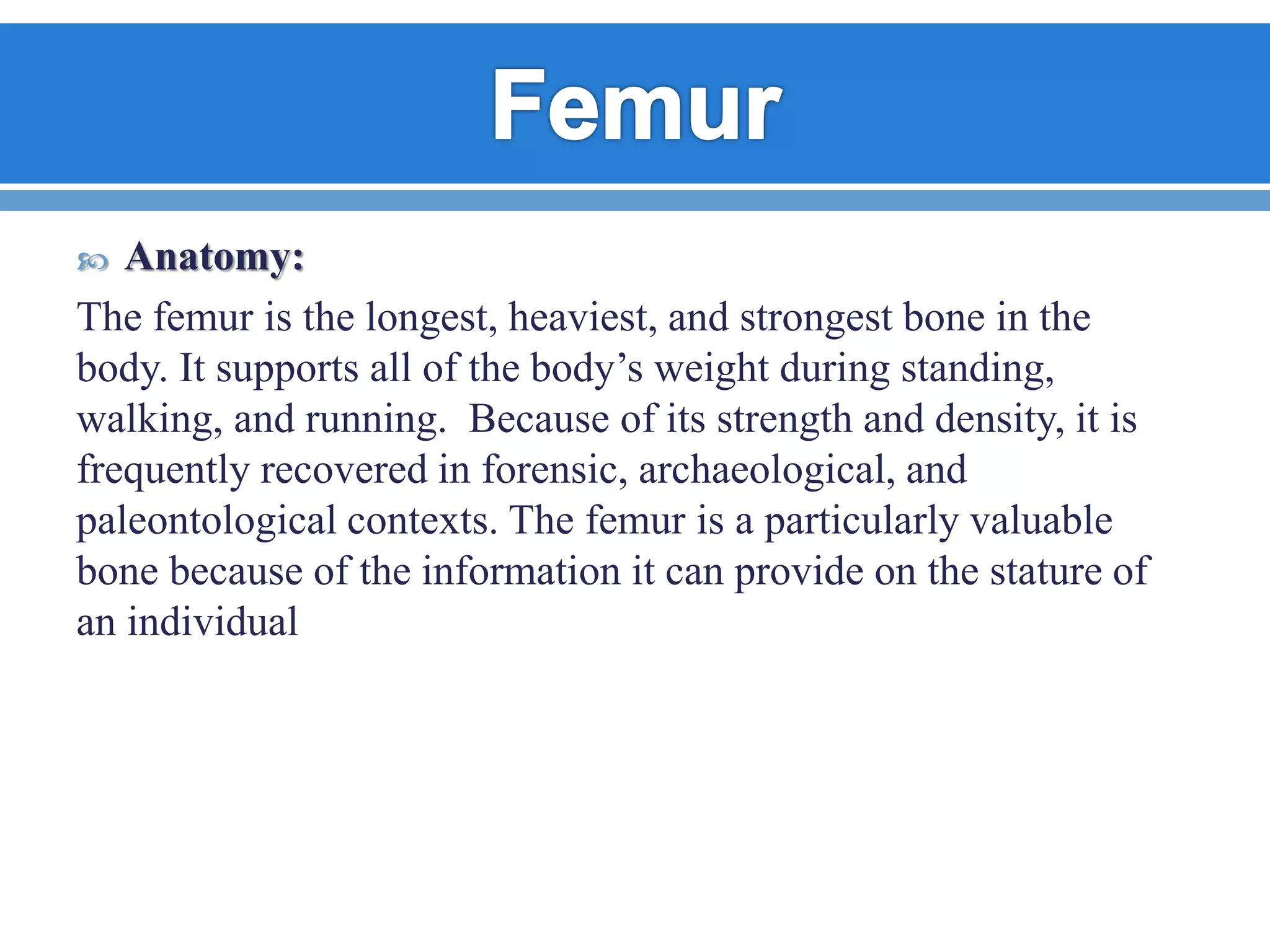 Femur | PPT