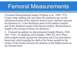 Femur | PDF
