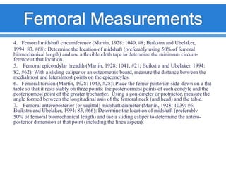 Femur | PDF