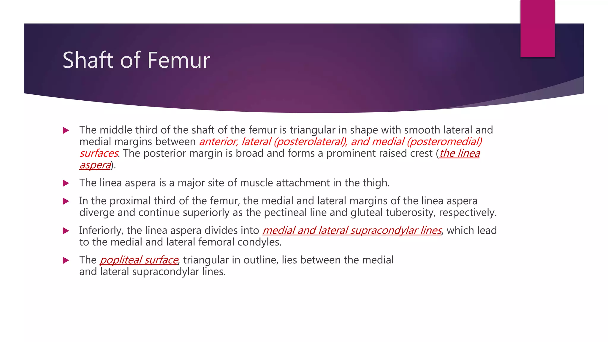Femur (Gross Anatomy) | PPTX