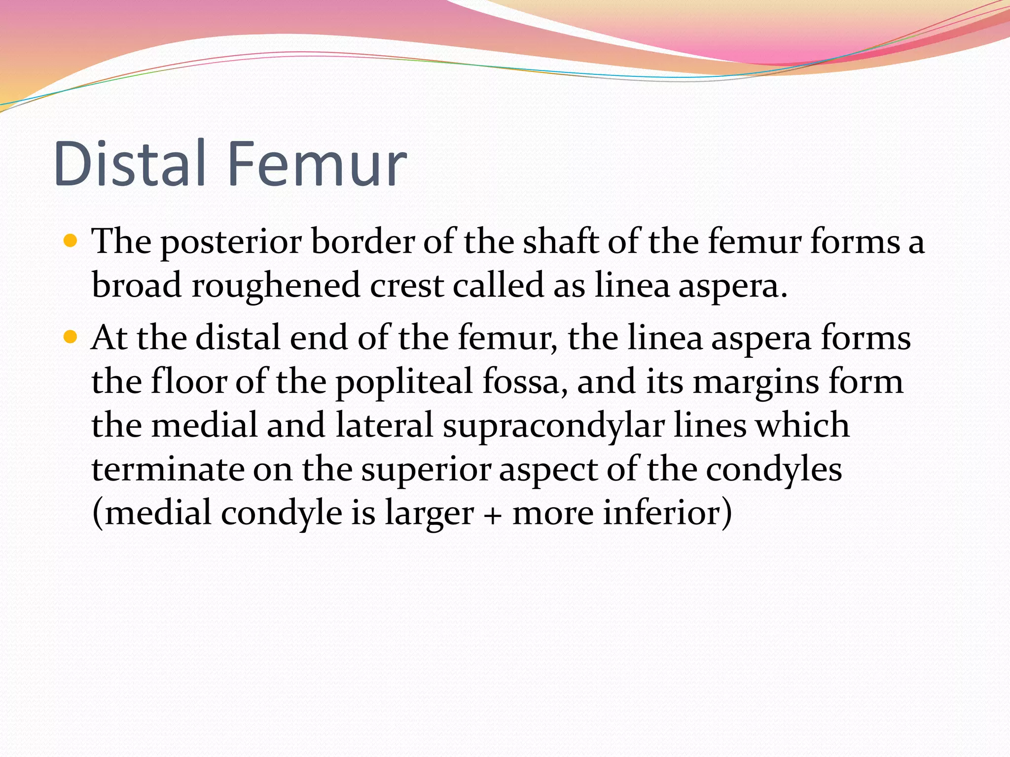 Femur | PPTX
