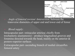 Femur | PPTX