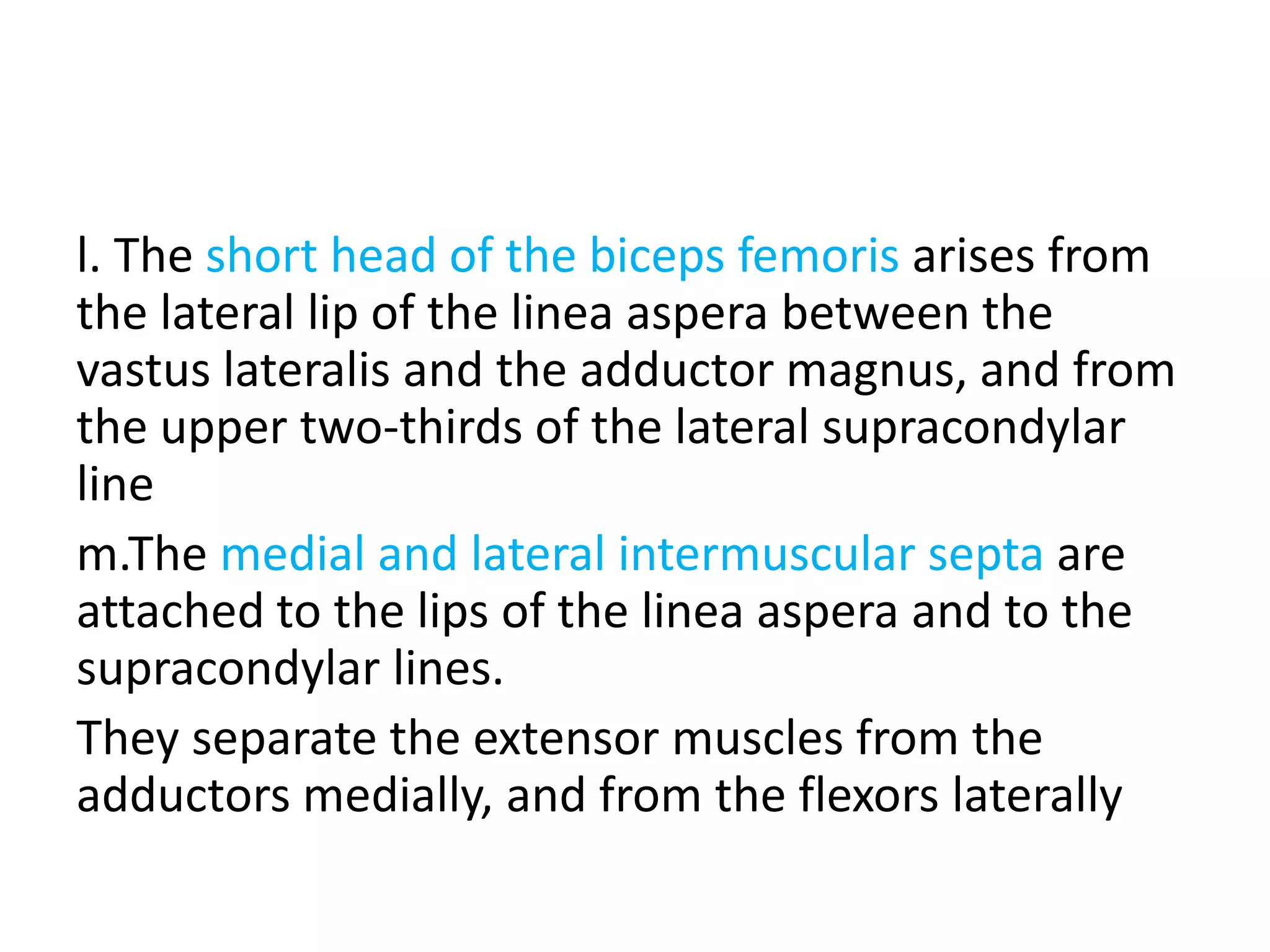 Femur.pptx