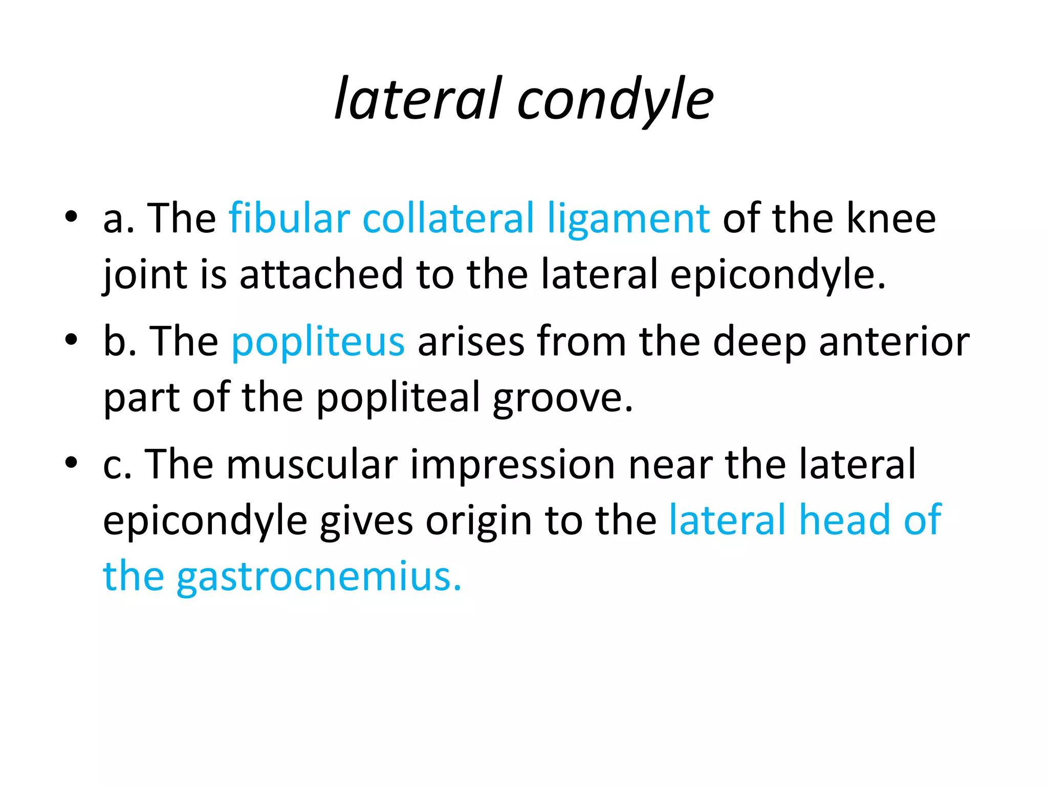 Femur.pptx