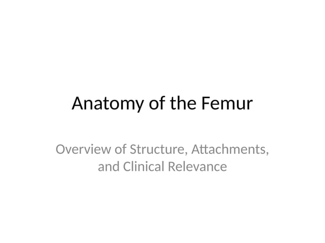 Femur_Anatomy _Presentation12356789.pptx