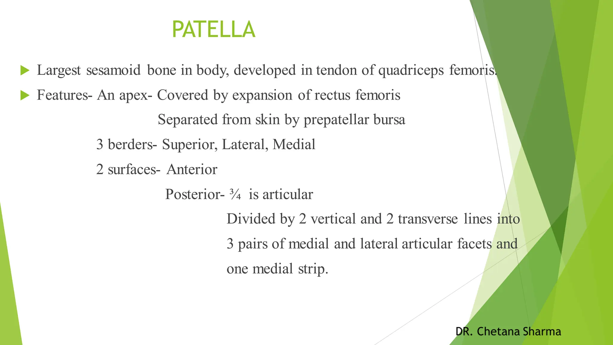 femur and patella detail anatomy with muscle attachment | PDF