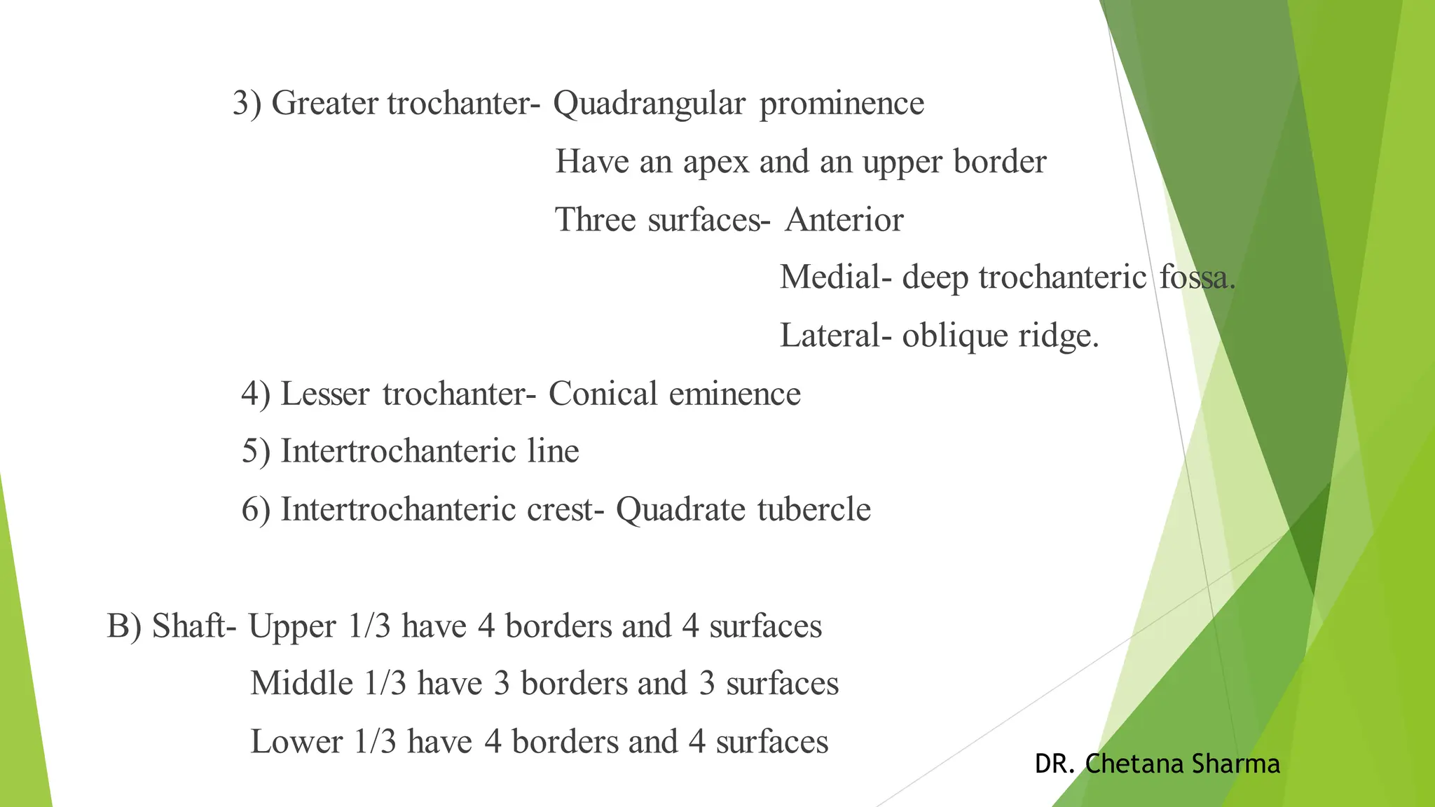 femur and patella detail anatomy with muscle attachment | PDF