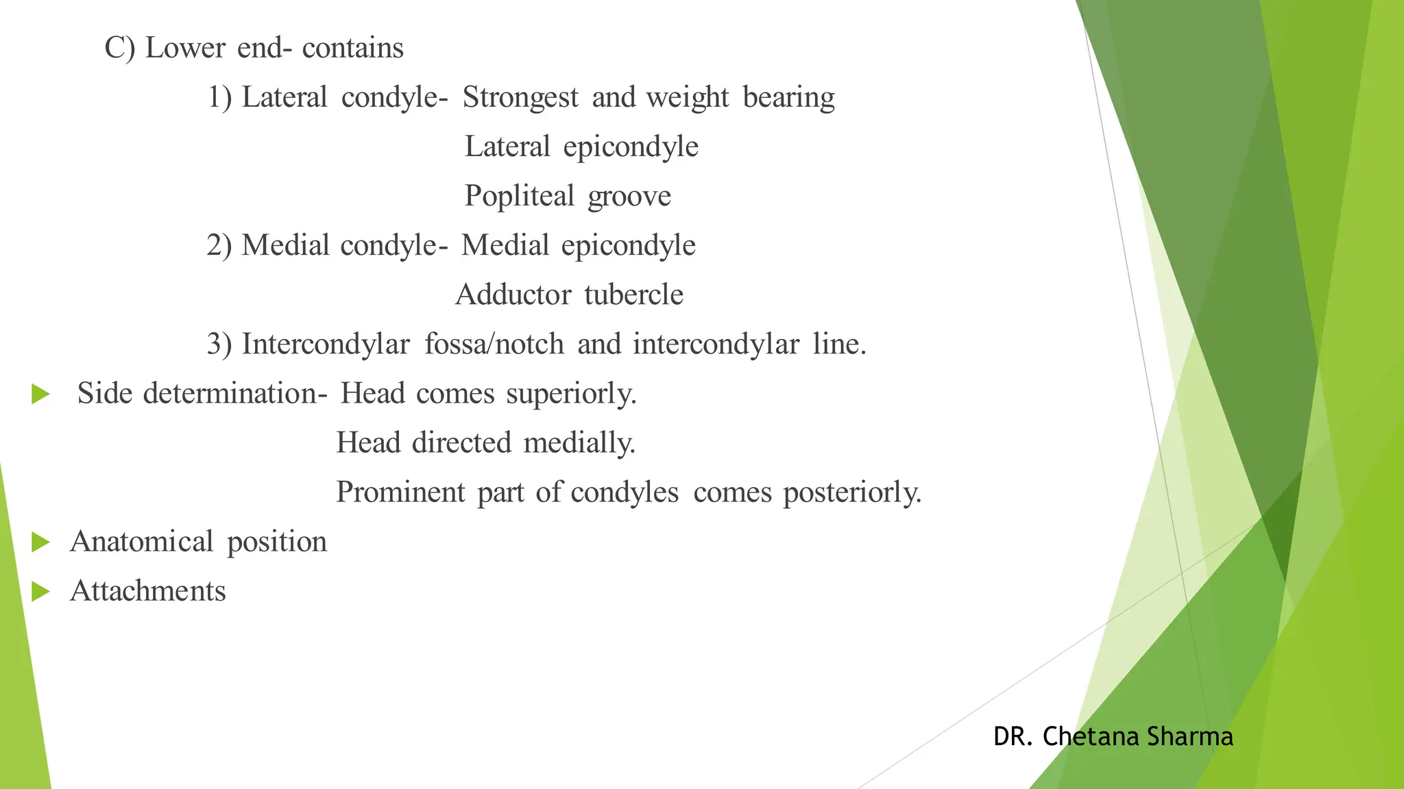 femur and patella detail anatomy with muscle attachment | PDF