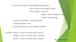 femur and patella detail anatomy with muscle attachment | PDF